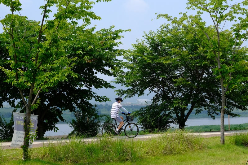 세종시 금강수변공원 피크닉테이블 예약 방법 및 주말나들이 네이버 블로그