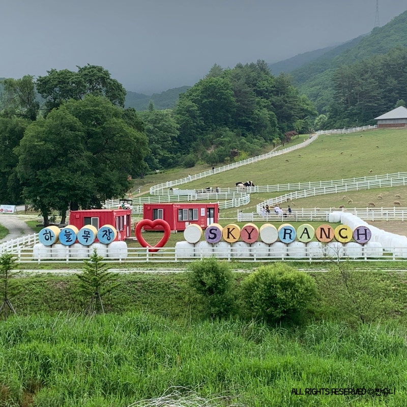 강원도 대관령하늘목장 다녀왔어요 평창 가볼만한 곳으로 강추 네이버 블로그