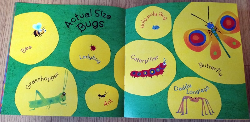 Bugs! Bugs! Bugs! (Bob Barner) : 네이버 블로그