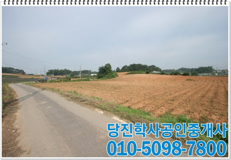 당진 토지매매 당진시 송악읍 봉교리 3111평 계획관리지역 당진~ 최고의 주택지 분할매매 네이버 블로그