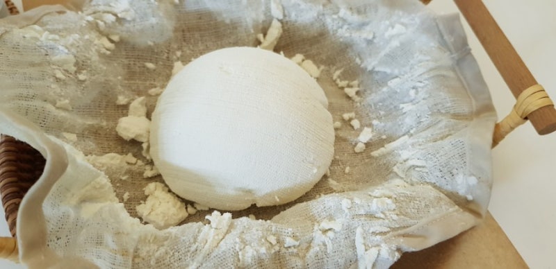 집콕 요리 아이와 함께 오리지널 코티지 치즈 Cottage Cheese 리코타 만들기 네이버 블로그
