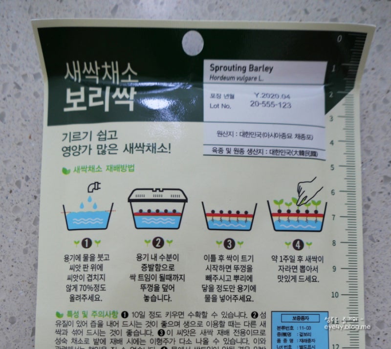 새싹보리 키우기 무럭무럭 새싹키트 네이버 블로그
