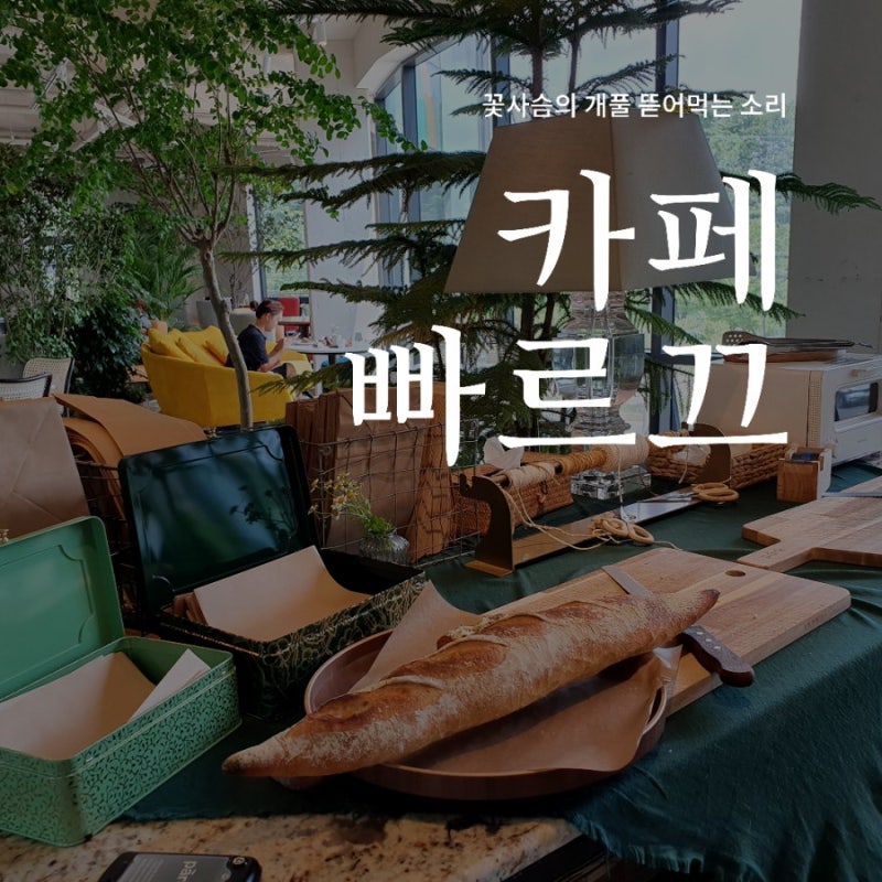 일산 풍동 아이와 함께 실내에서 공원 만끽하기 카페 빠르끄 맛있는 빵과 커피는 덤 네이버 블로그