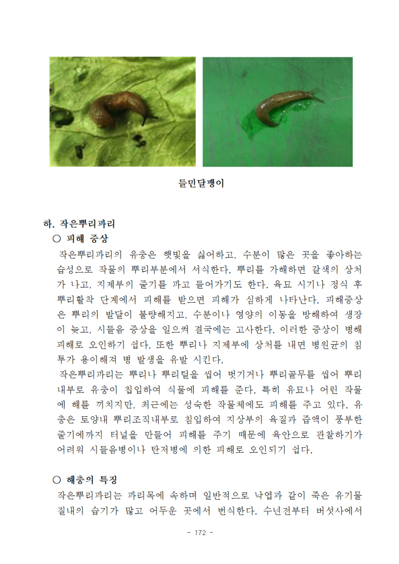 딸기 병해충 방제탄저병꽃곰팡이 시들음병역병눈마름병응애작은뿌리파리선충 네이버 블로그