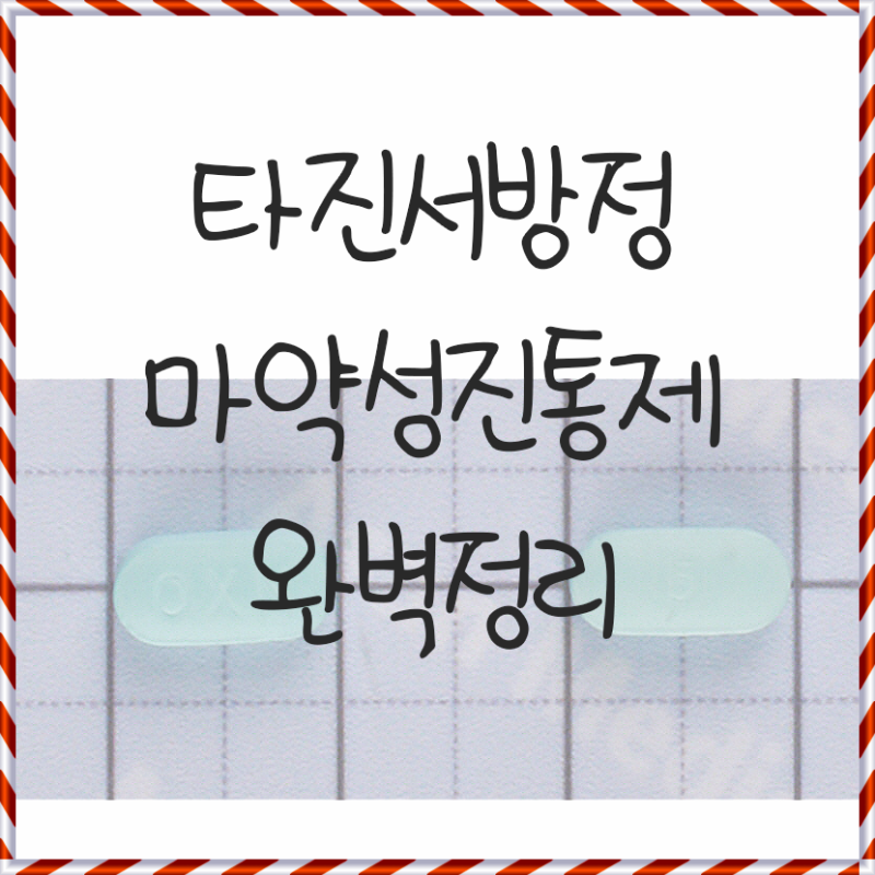 건강 타진서방정 알고 싶으세요 완벽 정리 네이버 블로그