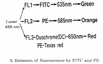 [리뷰] Principles &clinical applications of flow cytometry : 네이버 블로그