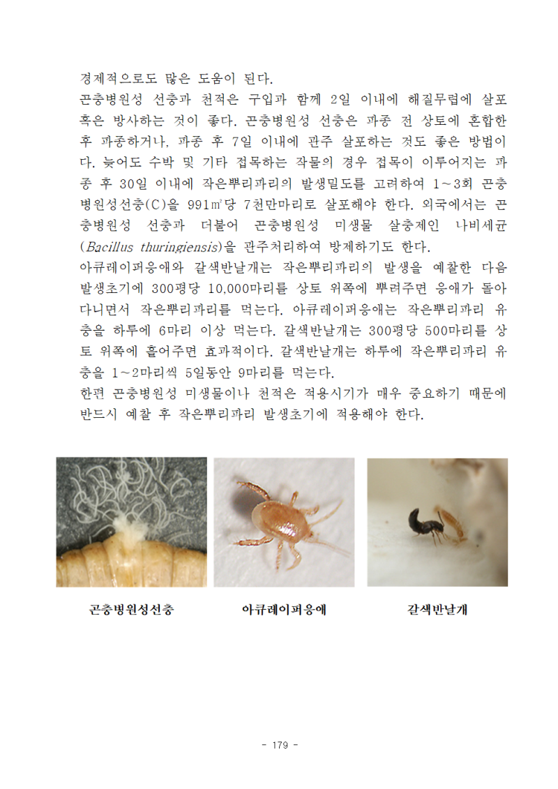 딸기 병해충 방제탄저병꽃곰팡이 시들음병역병눈마름병응애작은뿌리파리선충 네이버 블로그