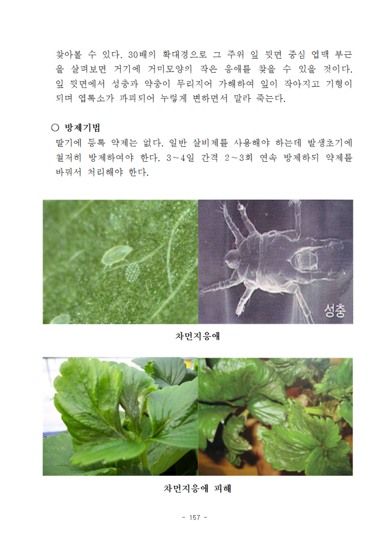 딸기 병해충 방제탄저병꽃곰팡이 시들음병역병눈마름병응애작은뿌리파리선충 네이버 블로그