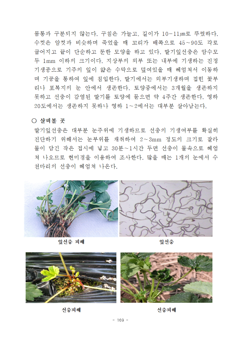 딸기 병해충 방제탄저병꽃곰팡이 시들음병역병눈마름병응애작은뿌리파리선충 네이버 블로그