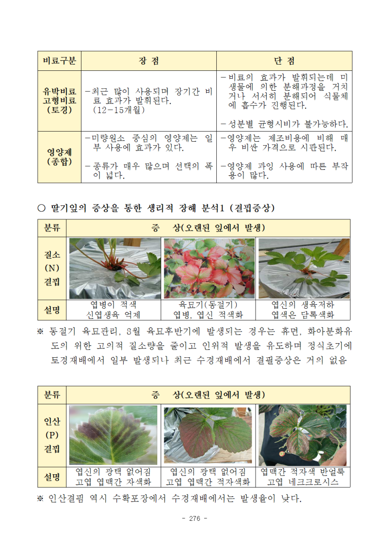 딸기생리장해선청과칼슘결핍팁번꽃받침마름하엽고사딸기비료결핍딸기비료과잉 등 네이버 블로그