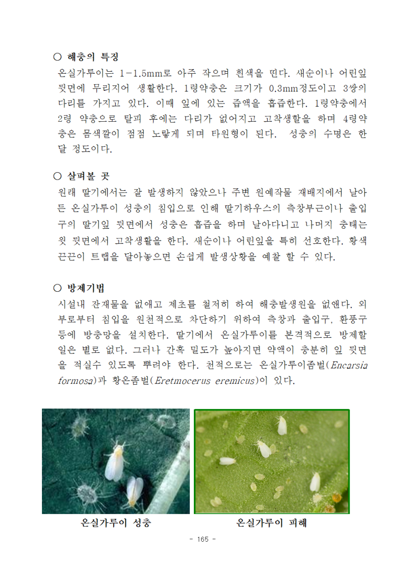 딸기 병해충 방제탄저병꽃곰팡이 시들음병역병눈마름병응애작은뿌리파리선충 네이버 블로그
