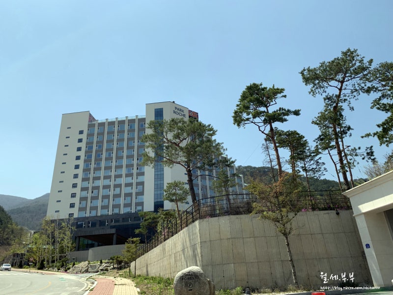 정선 파크로쉬 리조트앤웰니스 숙암룸 And 수영장 네이버 블로그