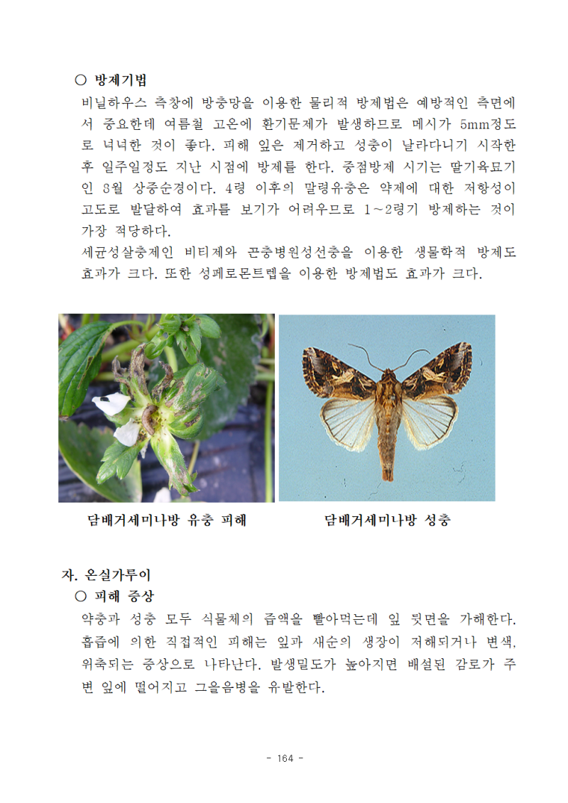 딸기 병해충 방제탄저병꽃곰팡이 시들음병역병눈마름병응애작은뿌리파리선충 네이버 블로그