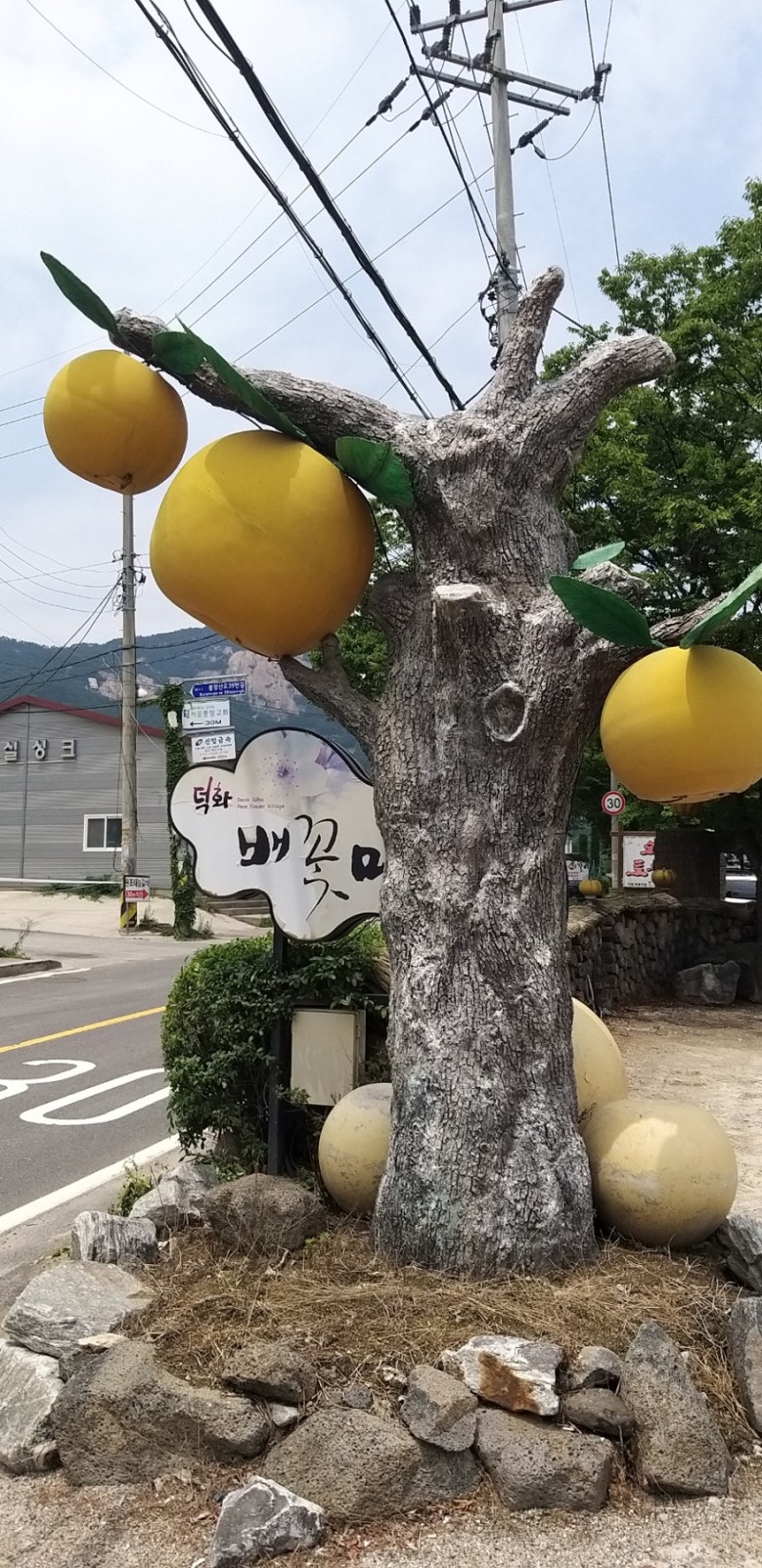 별내맛집덕화배꽃마을 오리요리 야외모임 좋아요 네이버 블로그