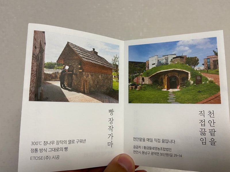 천안 뚜쥬루 빵돌가마 마을에서 거북이빵 사먹기 모카번과 비슷한 천안거북이빵 네이버 블로그