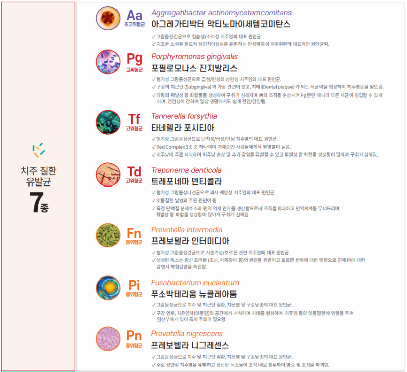 구강세균분석진단법인 OBD(Oral Bacteria Diagnosis) 소개 : 네이버 블로그