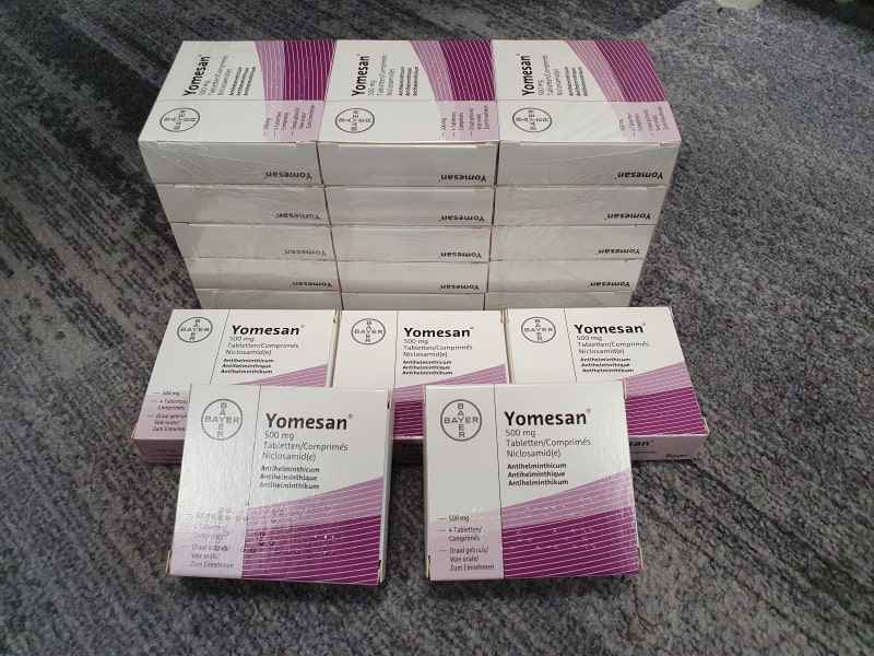 니클로사마이드 (Niclosamid, 니크로사마이드) 작용 기전 및 구매 후기 : 네이버 블로그