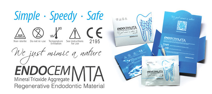 Endocem MTA by Maruchi (엠티에이) : 네이버 블로그