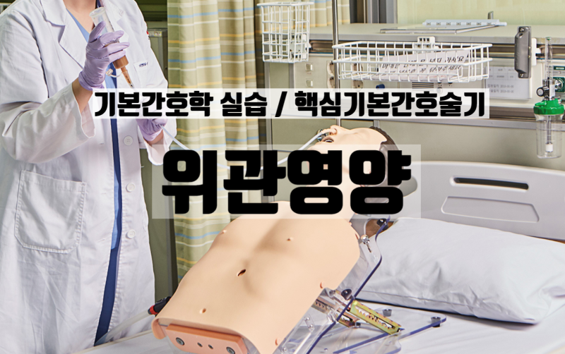 기본간호학 실습 정리 위관영양 핵심기본간호술기 네이버 블로그