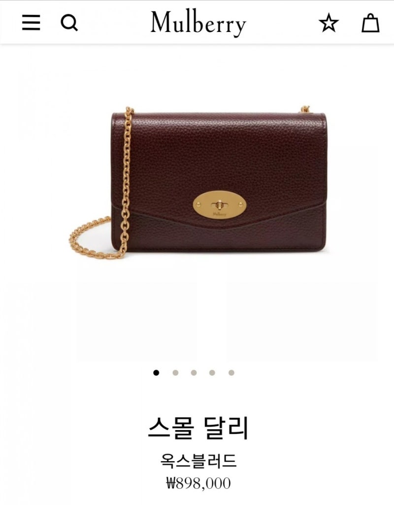 멀버리 스몰달리 옥스블러드 30대 미니백 추천 정품 저렴하게 구입하는 꿀팁 네이버 블로그
