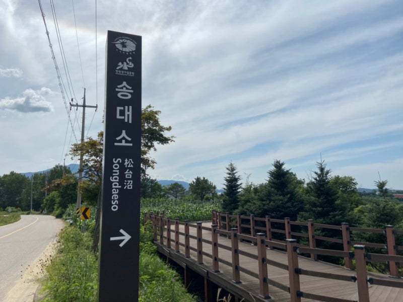 철원여행숙소 한탄강 뷰가 너무 멋진 펜션모닝캄빌리지카페펜션 네이버 블로그