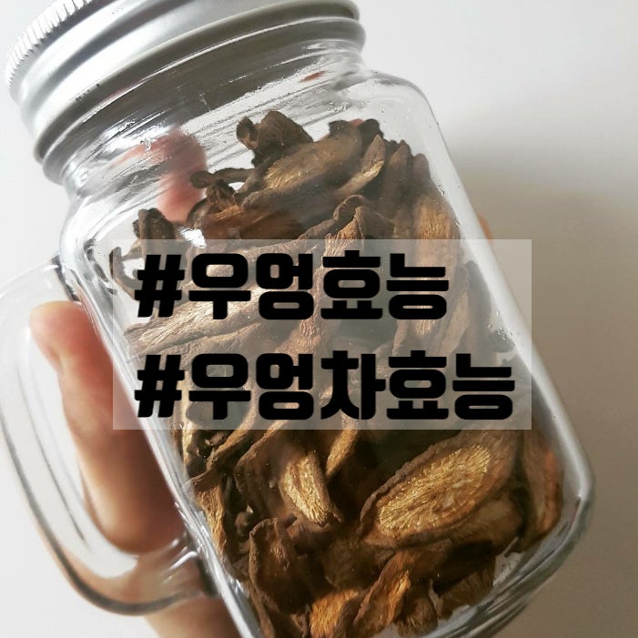 우엉 효능 요리 제철 수확시기 우엉차 부작용 다이어트 네이버 블로그