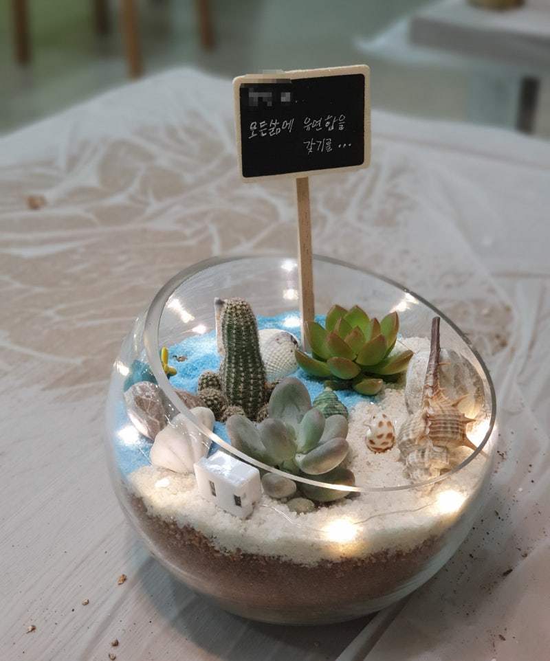 경기도 동탄 작은도서관 독서원예 힐링강의 선인장 다육식물 테라리움 만들기 네이버 블로그