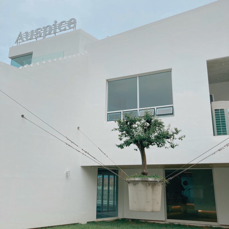 포항 신상카페 어스피스 (Auspice coffee)포항핫플 구룡포 호미곶 카페 : 네이버 블로그