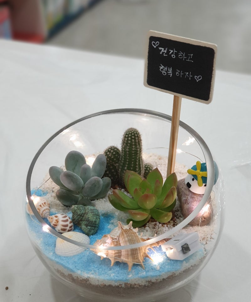 경기도 동탄 작은도서관 독서원예 힐링강의 선인장 다육식물 테라리움 만들기 네이버 블로그