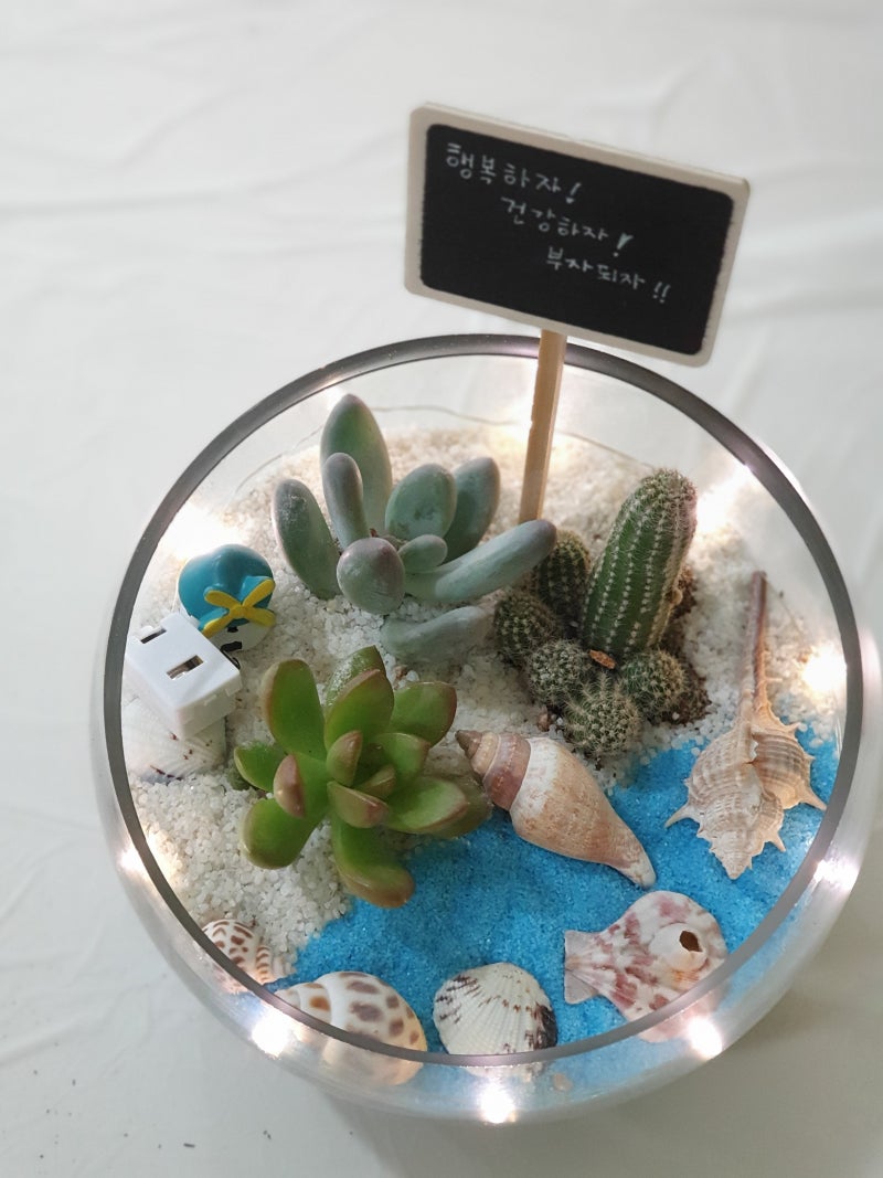 경기도 동탄 작은도서관 독서원예 힐링강의 선인장 다육식물 테라리움 만들기 네이버 블로그