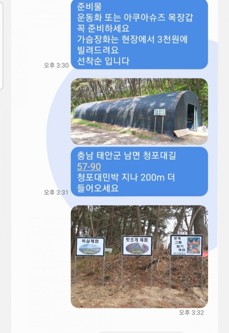 태안여행기 맛조개 갯벌체험 별주부체험마을 네이버 블로그