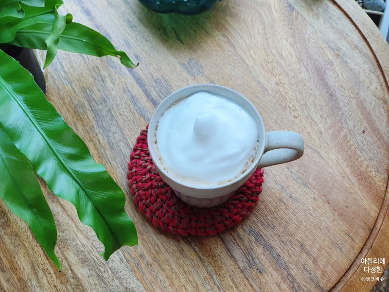 거실인테리어 식물이 있는 우리집 기록 : 네이버 블로그