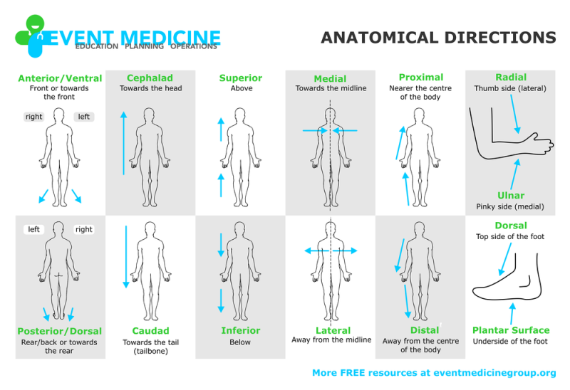 Fracture-1 : 네이버 블로그