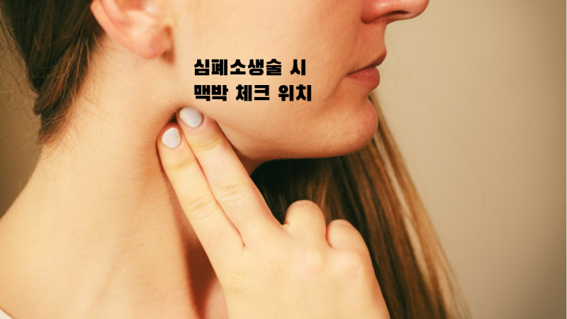 맥박정상수치 맥박이 빠르면 위험해요 네이버 블로그