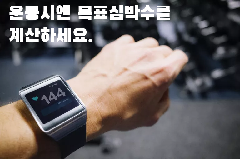 맥박정상수치 맥박이 빠르면 위험해요 네이버 블로그