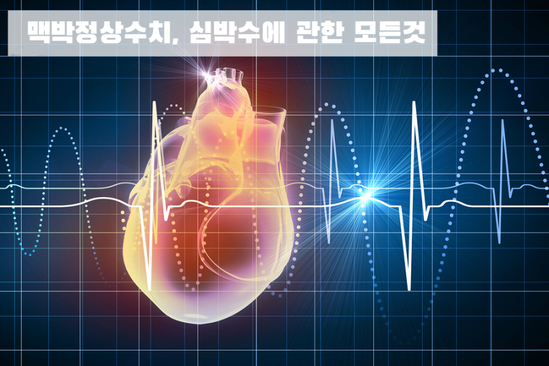맥박정상수치 맥박이 빠르면 위험해요 네이버 블로그