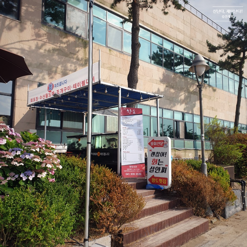 충남보령 무창포해수욕장 오션뷰 식당 비체팰리스2층 항도횟집주차가능 네이버 블로그