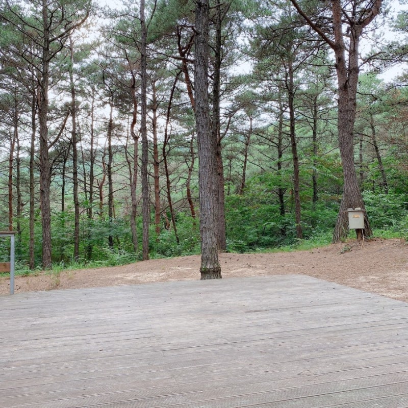 예산 파인힐 캠핑장 : 네이버 블로그