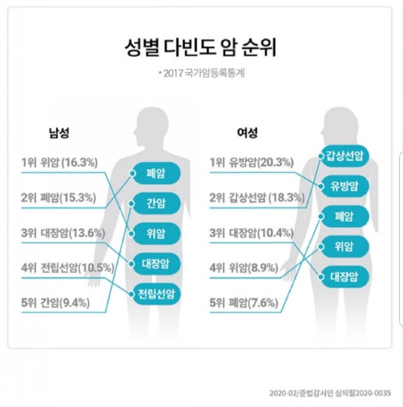 보험비교 16세어린이보험 롯데도담도담자녀보험 암진단비1억원 Vs Mg 애지중지어린이보험 네이버 블로그