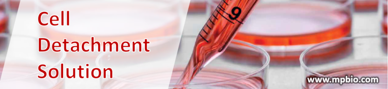 동물세포 배양 핵심제품 소개 8- Cell Detachment : 네이버 블로그