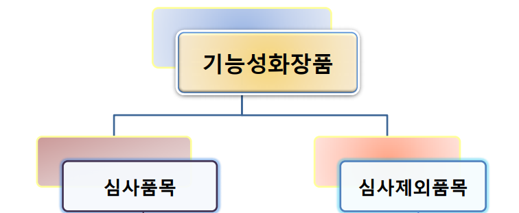 기능성 화장품 기능성 화장품 보고 심사면제품목 보고 방법 네이버 블로그