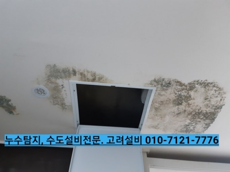 마석누수마석설비누수마석누수탐지가곡리빌라누수월산리누수설비차산리누수창현리누수설비묵현리누수탐지가곡리누수설비수동면설비