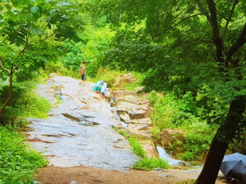 서울 걷기좋은길 인왕산 둘레길 짧고 쉬운 초보자 코스 걷고 왔어요사직공원에서 수성동계곡 네이버 블로그