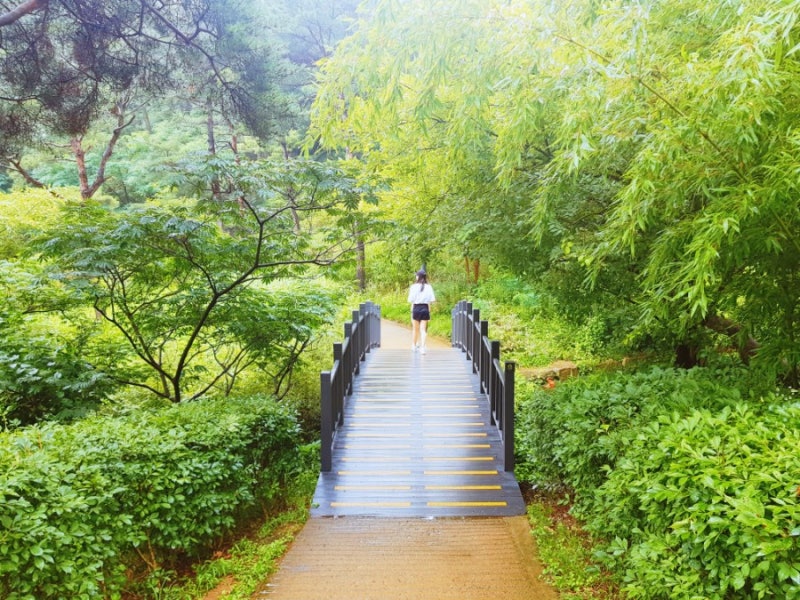 서울 걷기좋은길 인왕산 둘레길 짧고 쉬운 초보자 코스 걷고 왔어요사직공원에서 수성동계곡 네이버 블로그
