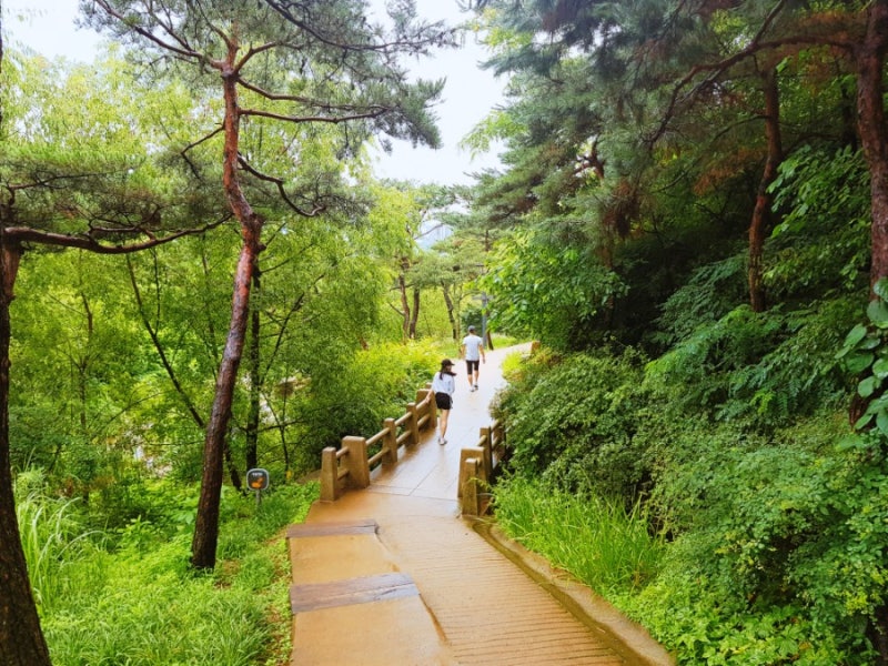 서울 걷기좋은길 인왕산 둘레길 짧고 쉬운 초보자 코스 걷고 왔어요사직공원에서 수성동계곡 네이버 블로그