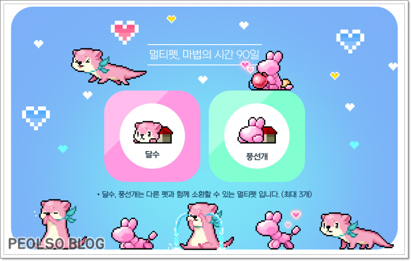 메이플스토리 로얄스타일 및 원더베리 캐시 업데이트 정보 네이버 블로그