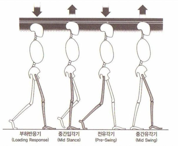 Gait Cycle 걸음주기 비정상보행 네이버 블로그