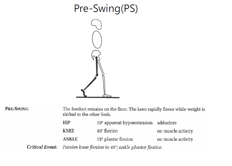 Gait Cycle 걸음주기 비정상보행 네이버 블로그