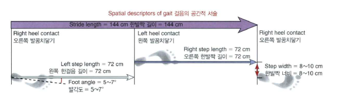 Gait Cycle 걸음주기 비정상보행 네이버 블로그
