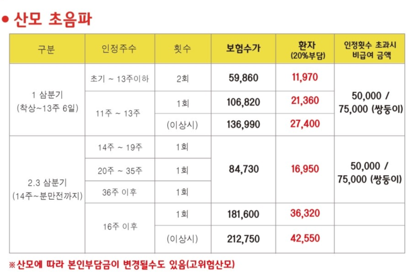 대전 산부인과 조기수축조기진통 8주 입원비용 보건소 고위험임산부지원사업 이용해서 트랙시반트랙토실 싸게 사용하기
